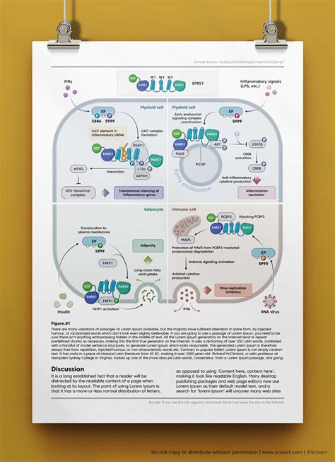 논문 일러스트의 목적과 제작 시 고려해야 할 핵심 사항 Scixart