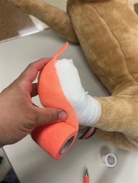 A Visual Guide To Bandaging For Veterinary Technicians Oer Commons
