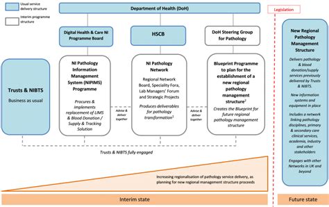 Pathology Network Dohhscni Strategic Planning And Performance Group