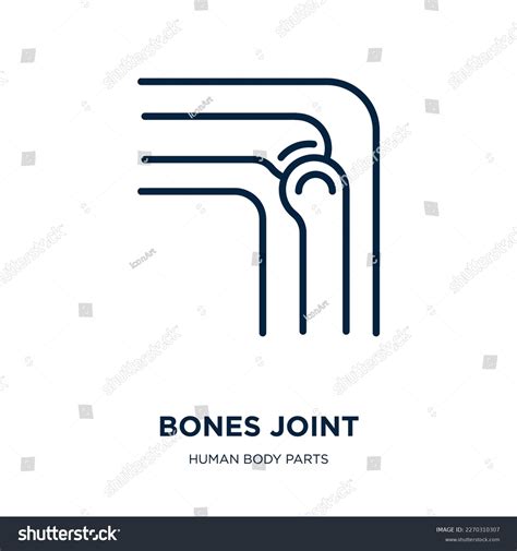 Bones Joint Icon Human Body Parts Stock Vector Royalty Free 2270310307 Shutterstock