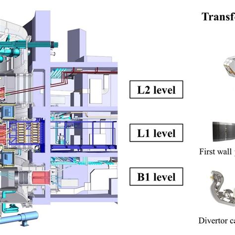 Cross Section Of The Iter Tokamak In Vessel Components Which Are