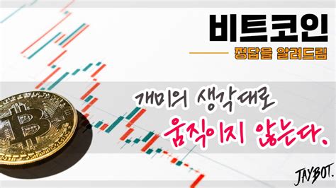 0321 비트코인 분석 시장은 개미의 생각대로 움직이지 않는다 Youtube