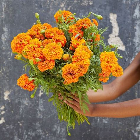 Orange Marigold Bouquet
