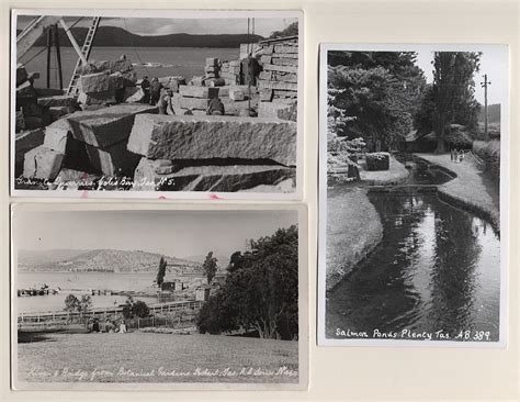 Vv15112l Tasmania · C1950 13 Unused Real Photo Cards By Ash Bester