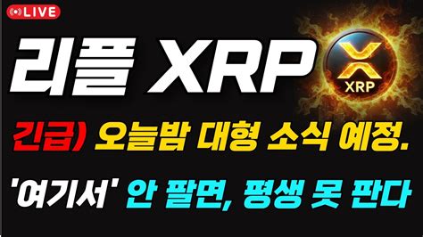 리플 전망 🔥 초대형 호재 임박 여기서 안 팔면 매도 기회 다신 없습니다 Youtube