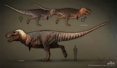Official Blog For Prehistoric Kingdom Prehistoric Prehistoric