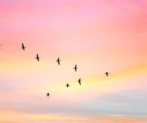 Sap S 4hana Migration With Mulesoft Professional Services Mulesoft Blog