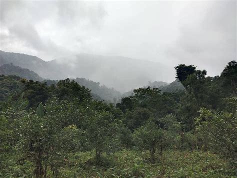 ขายที่สวนบนดอย เนื้อที่28ไร่เอกสาร สค1 ที่ดินร้อยแปด คอม