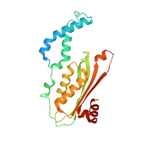 Rcsb Pdb 6z87 Human Gtp Cyclohydrolase I