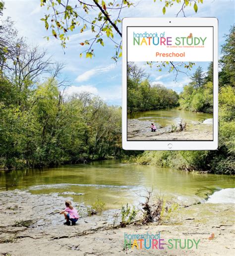 June Nature Study Activities For Summer Fun Homeschool Nature Study