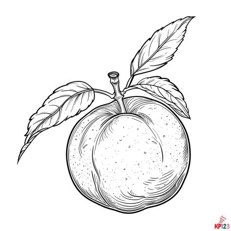 Perzik Kleurplaten Gratis Printbaar En Downloadbaar