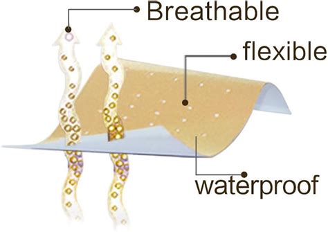 Hot Capsaicin Patches 472x708 Pack Of 50 Capsicum Pain Relief Patch