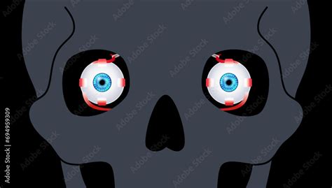 Extraocular Muscles Anatomy Stock Vector Adobe Stock