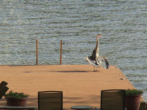 Neil Buttimer Lowa Communications Flickr