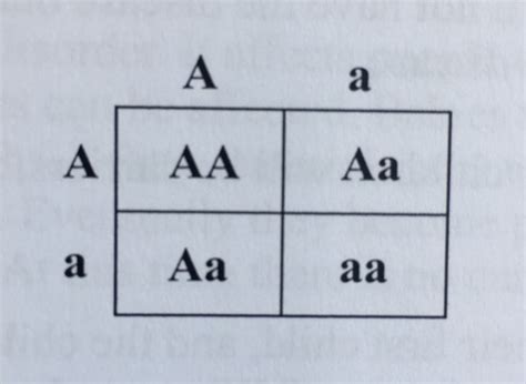 Section 10 3 Human Autosomal Genetic Diseases Flashcards Quizlet