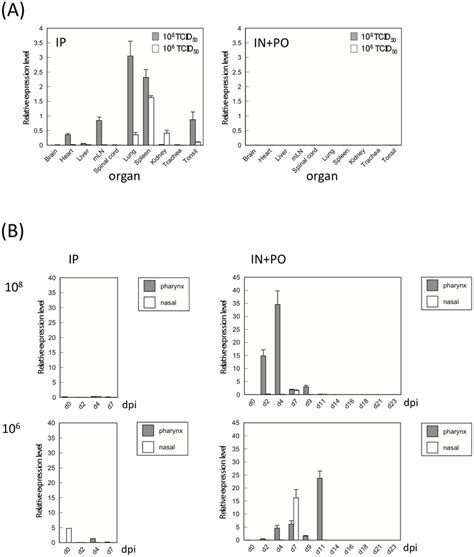 Virus Replication In Nipah Virus Infected Monkeys Virus Replication Download Scientific