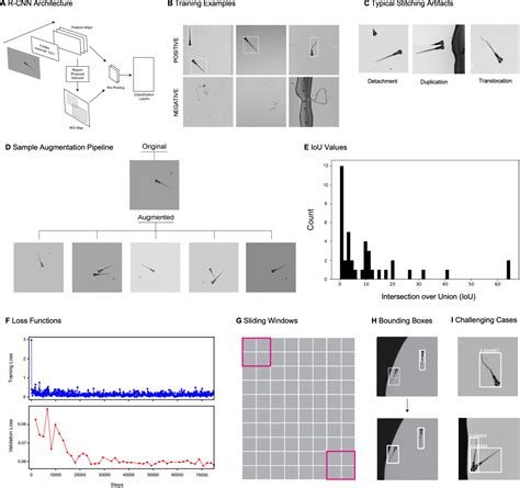 gigapixel imaging with a novel multi camera array microscope elife