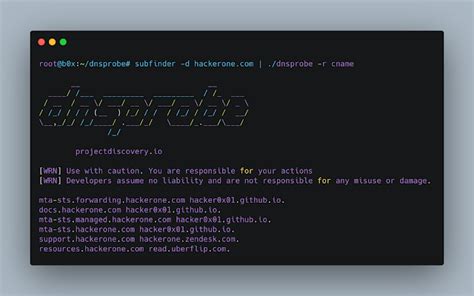 DNSProbe A Tool Built On Top Of Retryabledns That Allows You To Perform Multiple DNS Queries