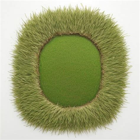 82000 Grass Segments Pictures