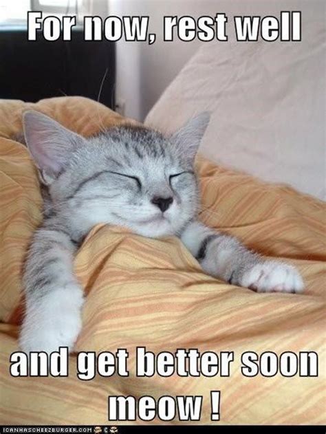 Get Well Soon Meme Cat