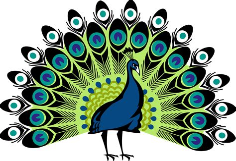 Peacock Logo Exotic Bird Nature Inspired Vibrant Symbol Elegant Motif Png