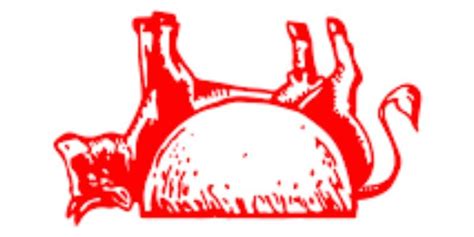 Cómo Facturar Orinoco Guía RÁpida Y Sencilla