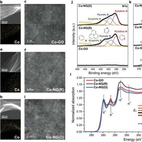 Characterization Of Atomically Dispersed Cobalt Adg Schematic Download Scientific Diagram