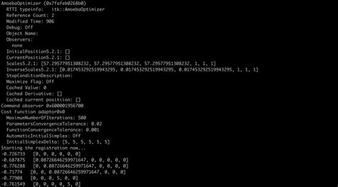 Powell Optimizer Cannot Work Properly Algorithms Itk