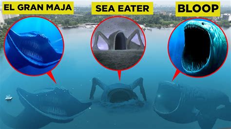 Drone Catches Giant Sea Eater Giant El Gran Maja And Giant Bloop In Real