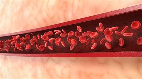 Low Hemoglobin Symptoms આ વિટામિનની ઉણપને કારણે હંમેશા લો રહે છે તમારું હિમોગ્લોબિન Low