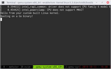 Build A Linux Kernel Running Only A Go Binary