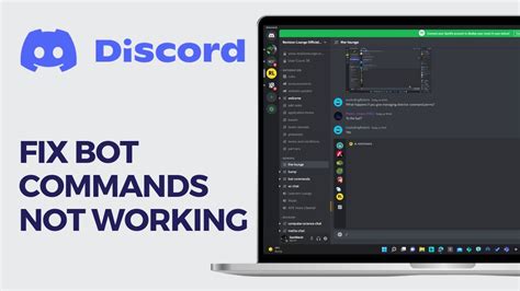 how to fix discord bot commands not working 2024 youtube
