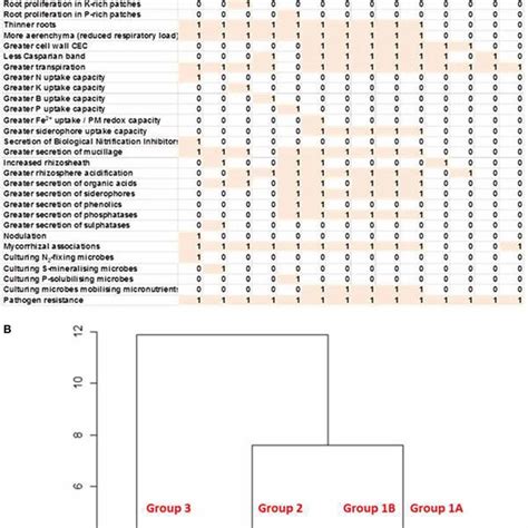 A Matrix Of Root Traits Likely To Improve The Acquisition Of