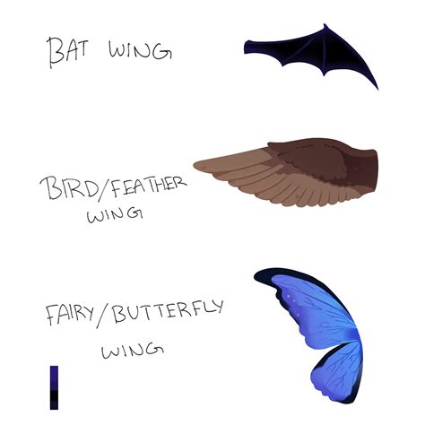 Analogous Structures Butterfly Bird Wings Related