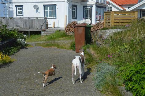 Mor Och Dotter Knullar