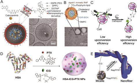 Representative Organic Photosensitizer Based Ltns A Schematic Download Scientific Diagram