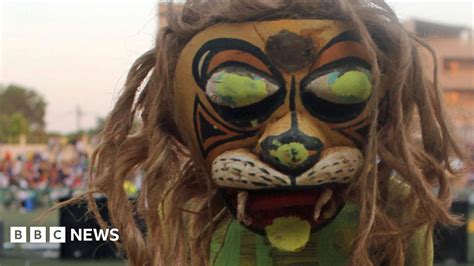 Africa In Pictures 20 26 November 2015 Bbc News