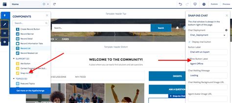 Javascript Has Anyone Successfully Embedded The Liveagent Script Into