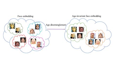 Age And Identity Disentanglement The Left Hand Side Shows The Common Download Scientific