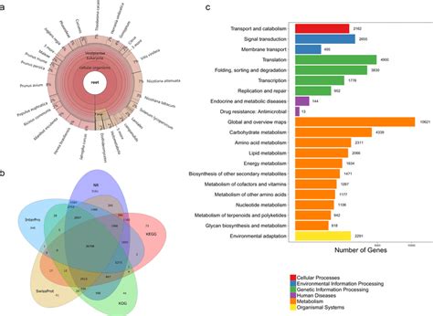 Functional Annotation A Venn Diagram Of Annotations Based On The Download Scientific Diagram