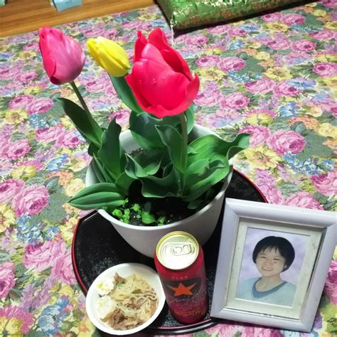 妻がいない暮らしを考えた事もなくて。。 腎臓がん 紡錘細胞 には負けない