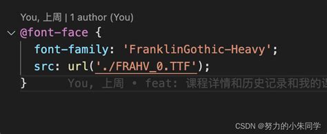 在 Nuxtjs 和 Vuejs 项目中引入第三方字体或艺术字vue艺术字 Csdn博客