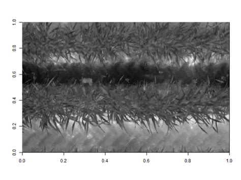 Recovering Summer 2017 FLIR Data And Preventing Future Errors Issue 190 Terraref Reference