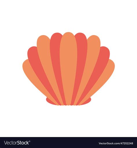 Scallop Sea Shell Royalty Free Vector Image Vectorstock