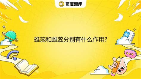 雄蕊和雌蕊分别有什么作用百度教育 雄蕊和雌蕊分别有什么作用百度教育