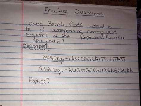 Solved Practice Questions using Genetic Code what is the | Chegg.com