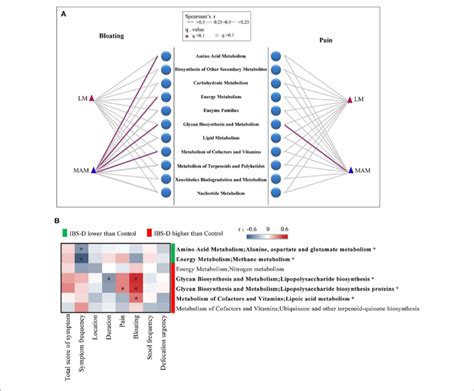 The Correlation Between Metabolic Pathways Of Functional Genes And