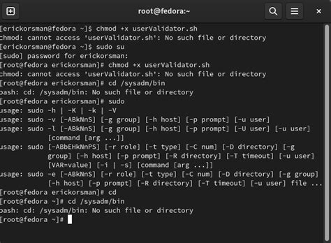 This Is What Im Getting When Typing In The Commands Chegg