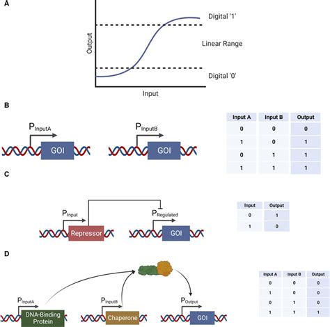 Example Logic Gates Implemented In Biological Systems In Various Download Scientific Diagram