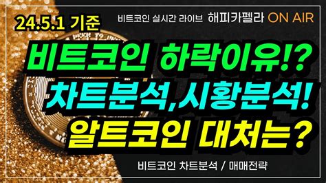 비트코인 하락이유는 차트분석시황분석 알트코인 대처 비트코인 비트코인하락 비트코인하락이유 알트코인 Youtube